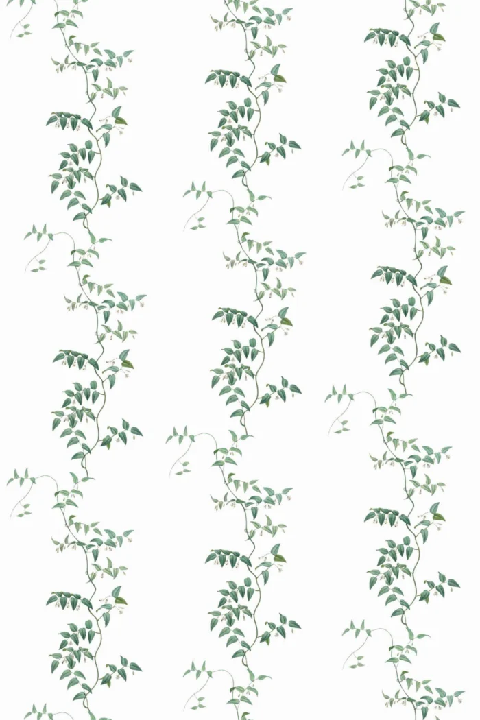Green vine leaf Wallpaper | Shop SafetyMat™