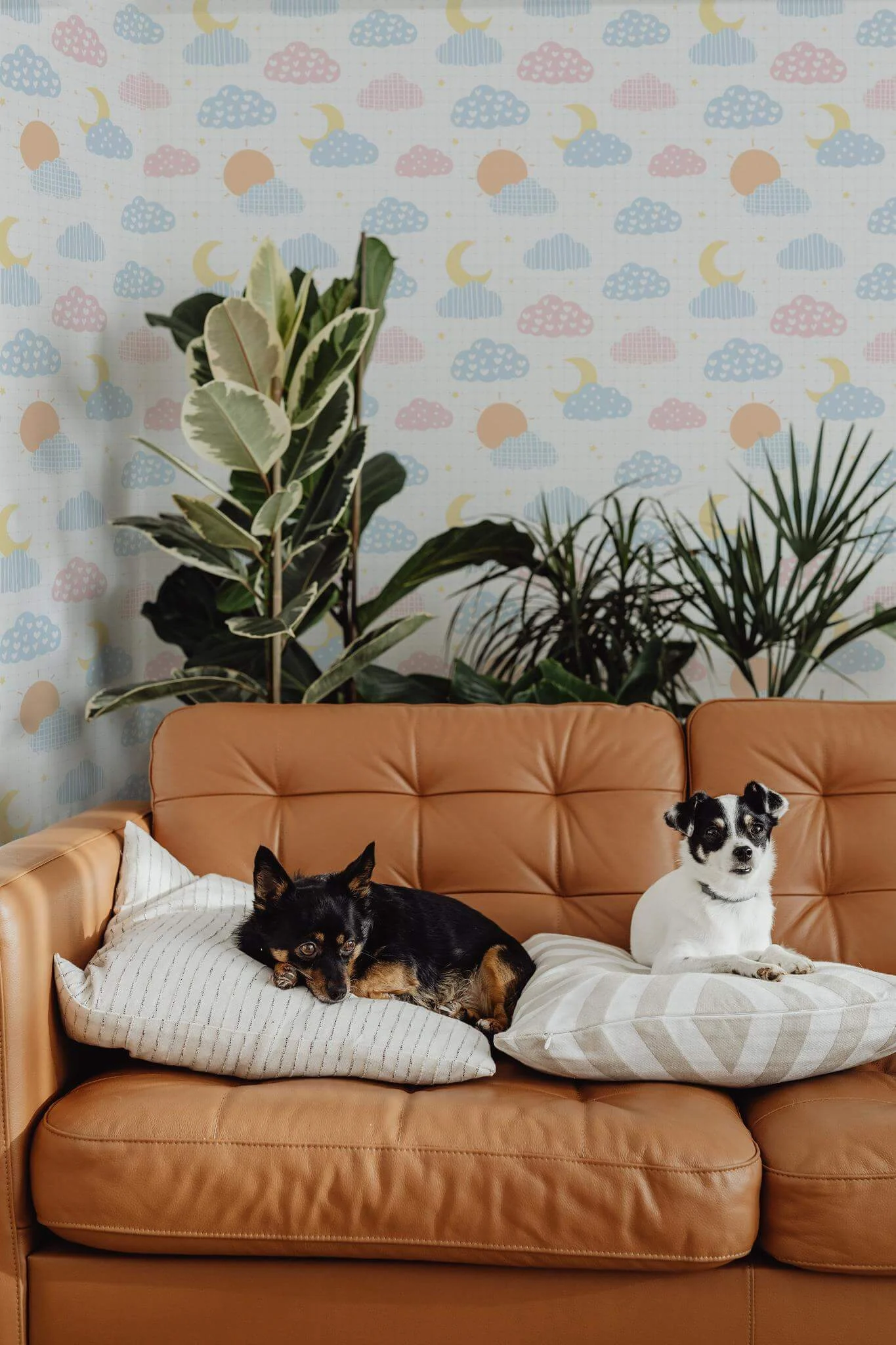 Sky notebook Wallpaper | Shop SafetyMat
