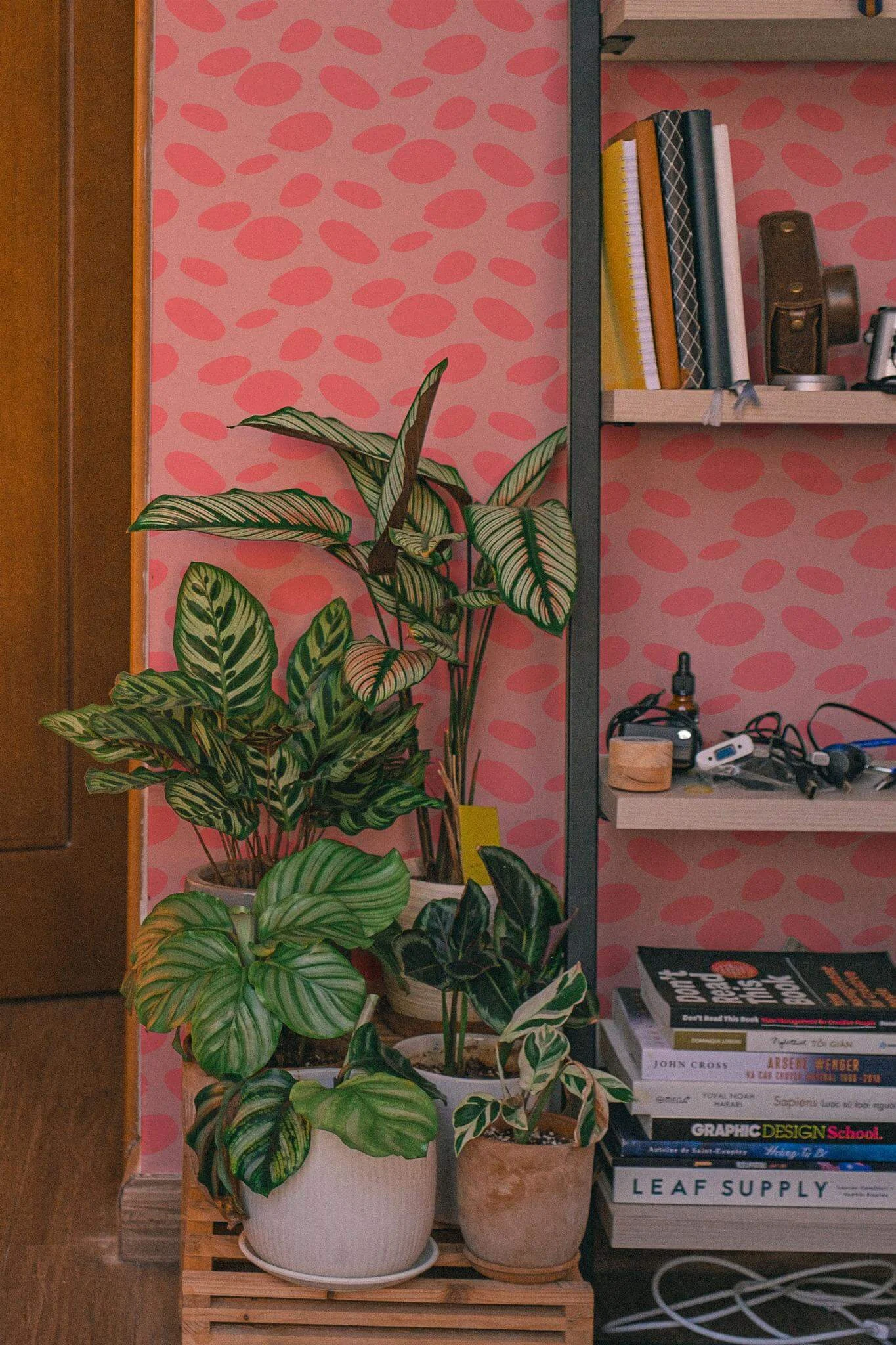 Pink cheetah spots Wallpaper | Shop SafetyMat™