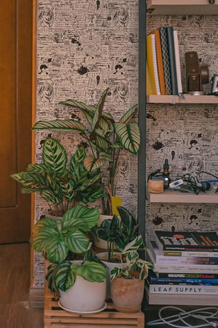 Black and white handwriting Wallpaper | Shop SafetyMat™